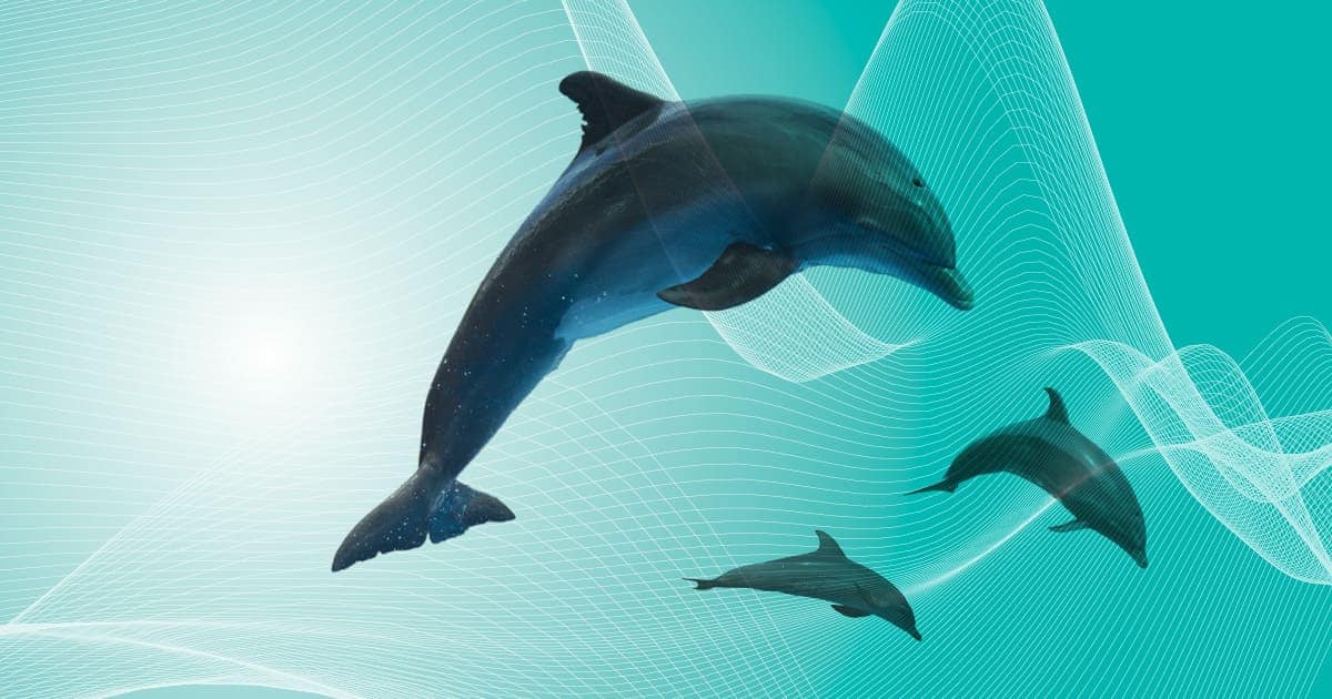 Making Waves: Electrophysiology, Dolphins, and Advice - American ...