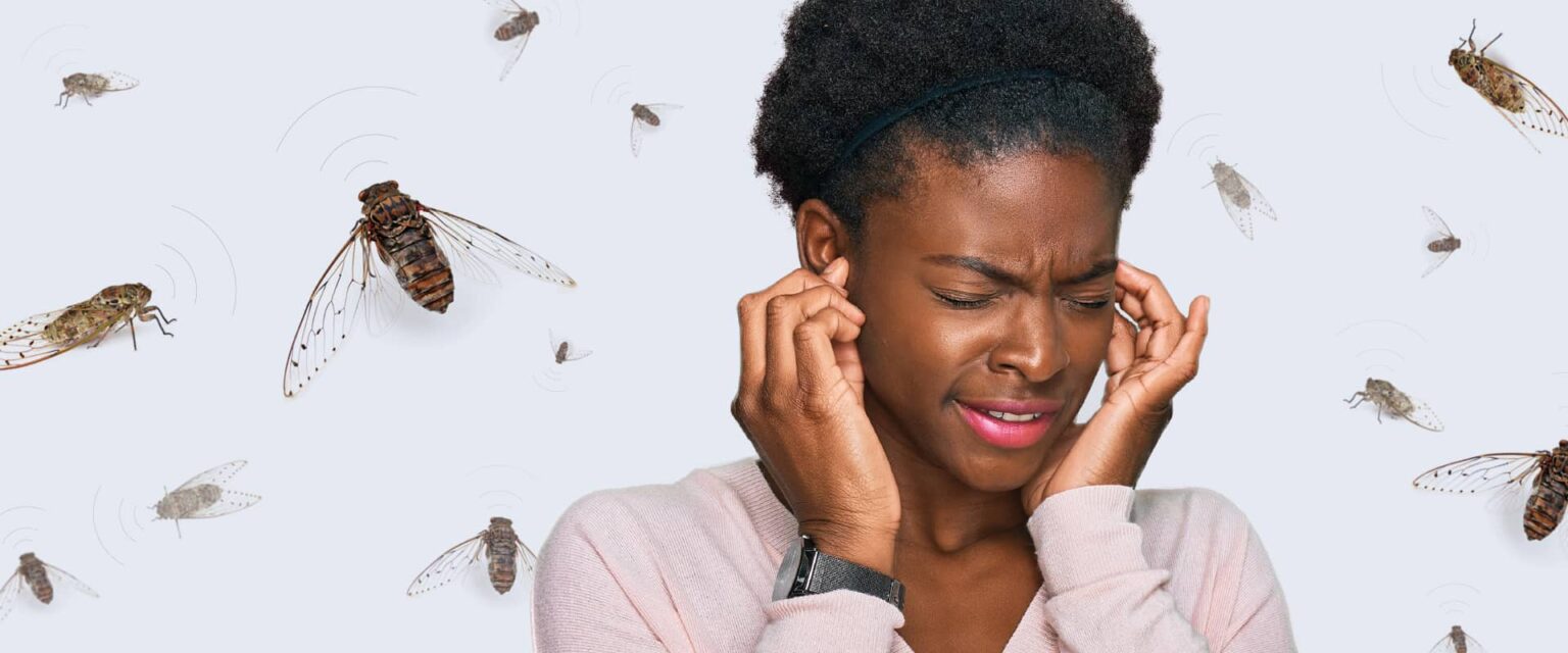 Essential Oils for Hearing Loss, Tinnitus, and Vertigo - American ...