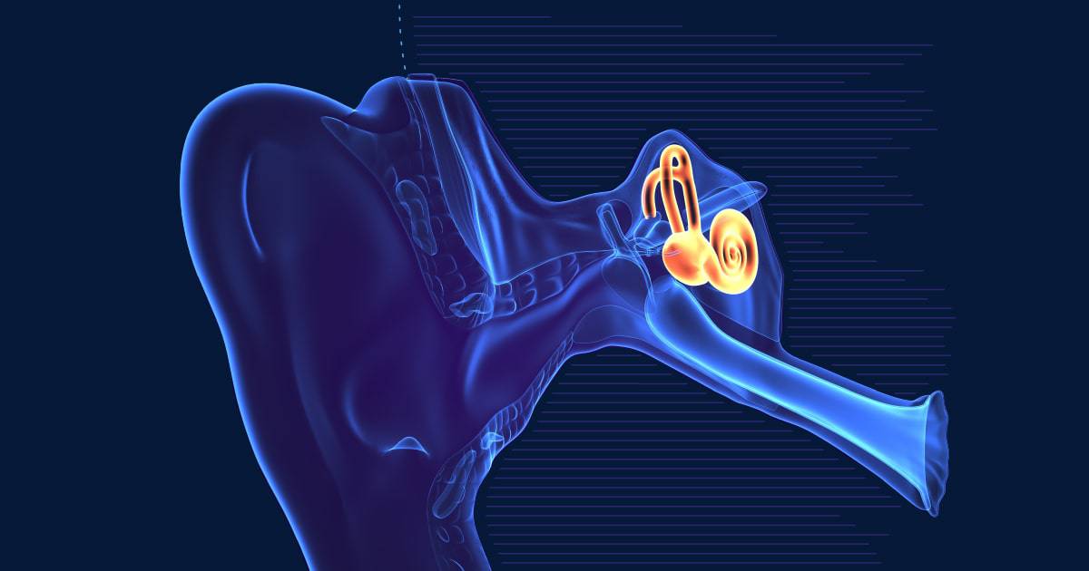 Academy Research Conference 2023: Next-Generation Inner-Ear Therapies—Summaries - American ...